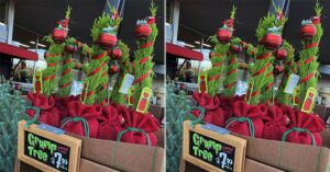 Cheer Up With Trader Joe’s Grump Christmas Trees 2023